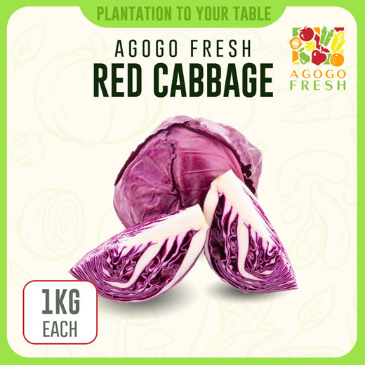 Red Cabbage – Agogo Fresh