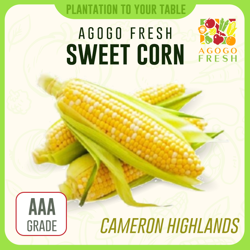 Sweet Corn – Agogo Fresh