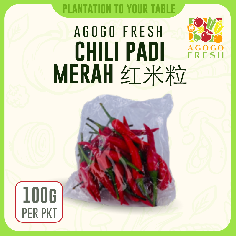 F21 Chili Padi Merah 红米粒 – Agogo Fresh